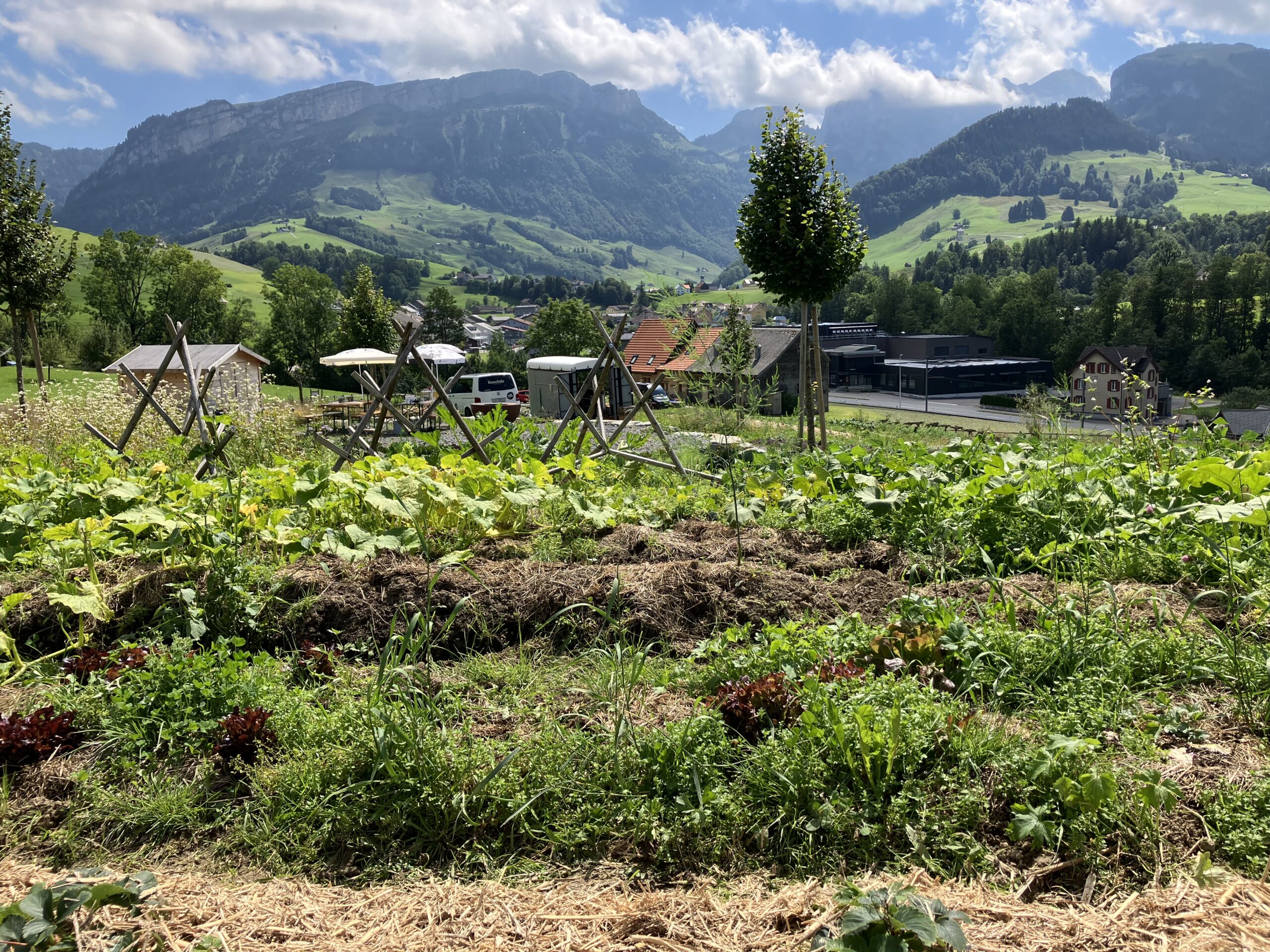 Knechtle Permakultur